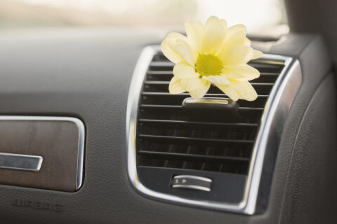 How To Get Rid of Smoke & Other Bad Smells in My Car – Go Girl